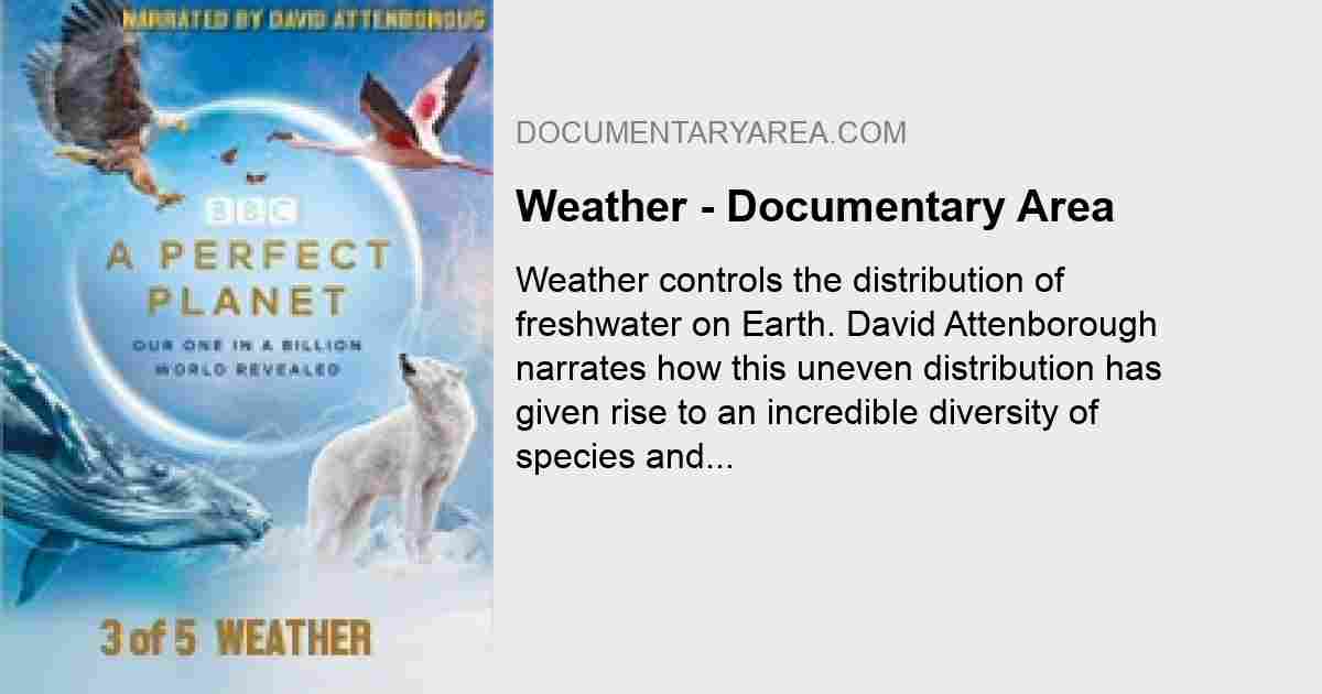 Weather - Watch Online