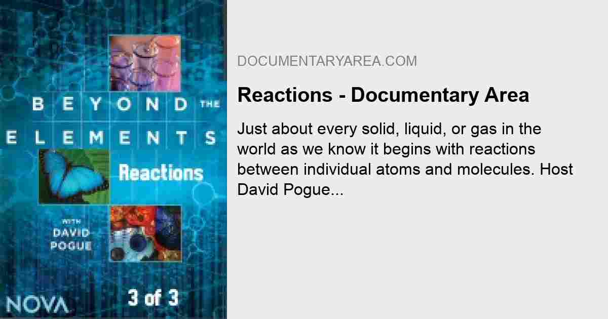 Reactions - Watch Online