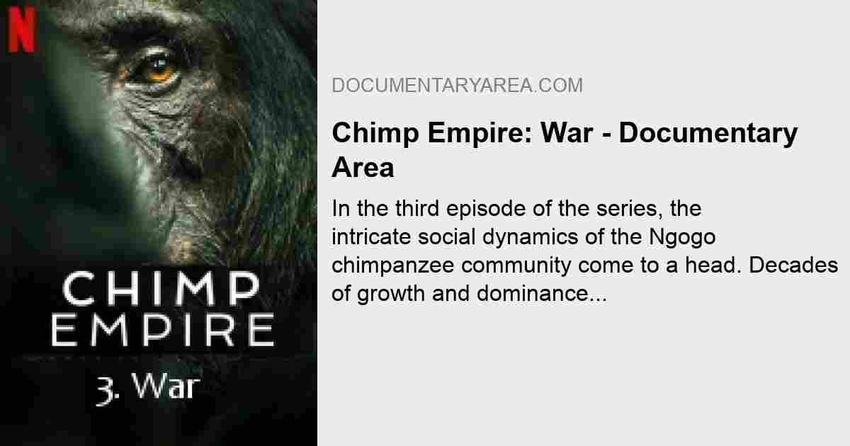 Wildlife - Documentary Area - page 2