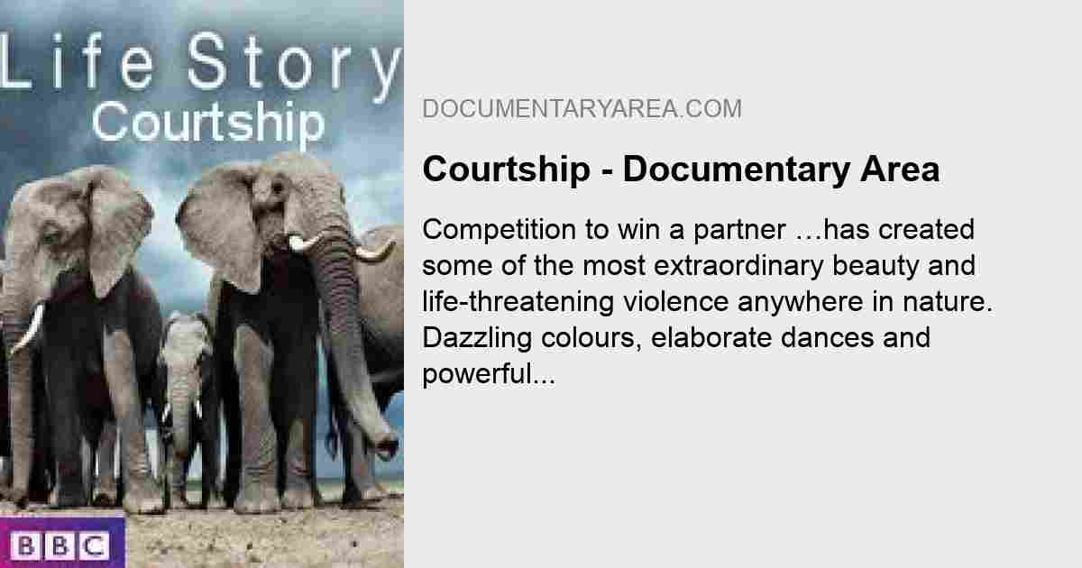 Courtship - Watch Online