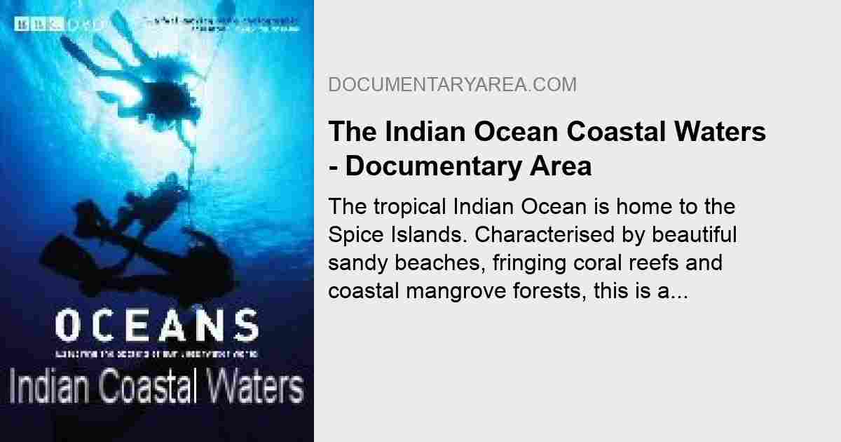 Series Oceans - Documentary Area