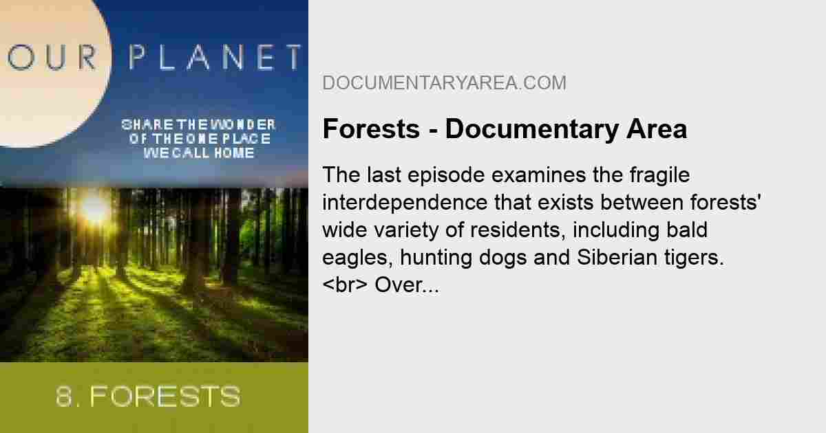 Forests - Watch Online