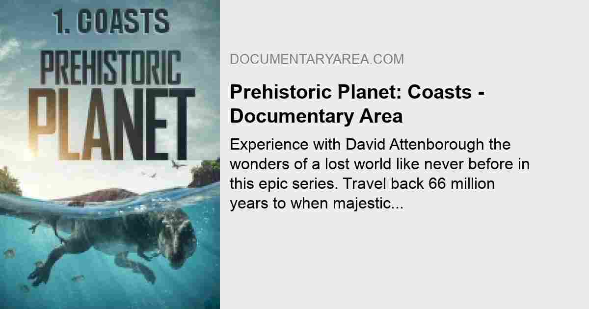 Palaeontology - Documentary Area