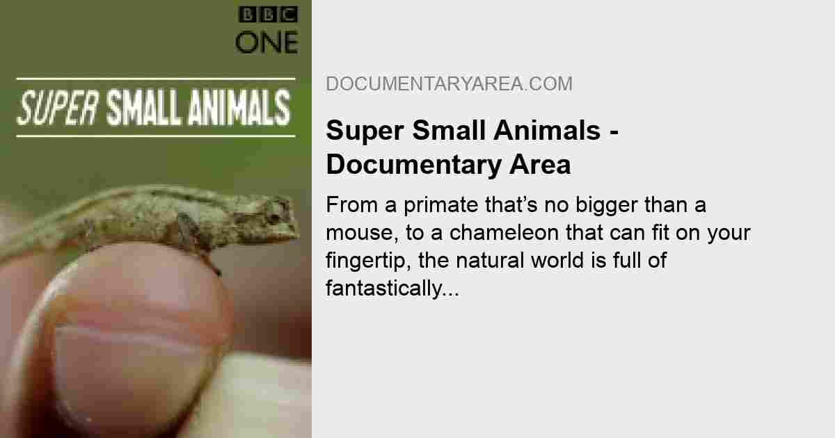 Wildlife - Documentary Area - page 2