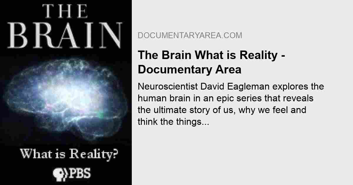 Series The Brain with David Eagleman - Documentary Area
