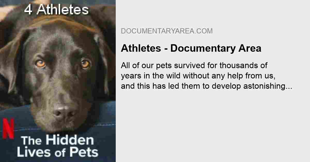 Athletes - Watch Online