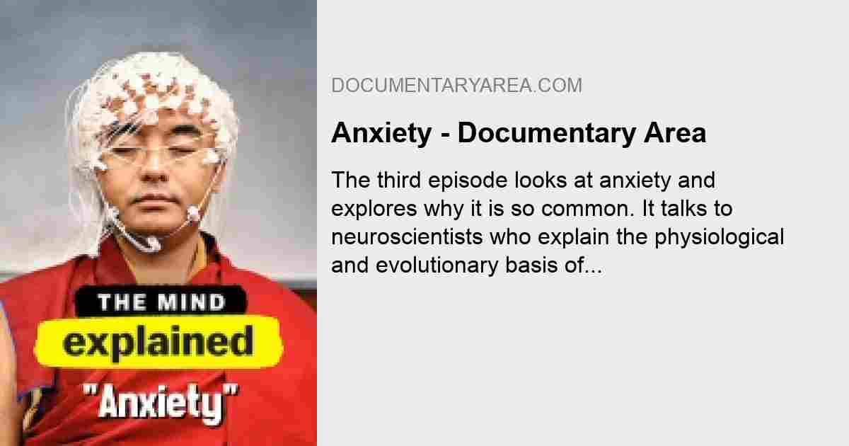 The Brain - Documentary Area