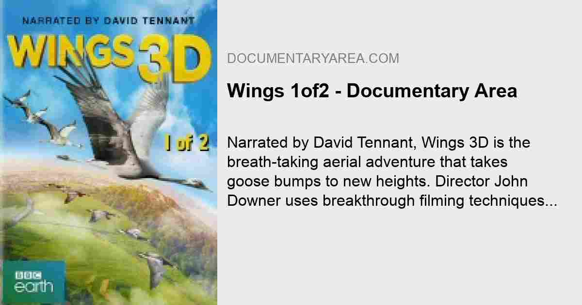 Series Wings Documentary Area