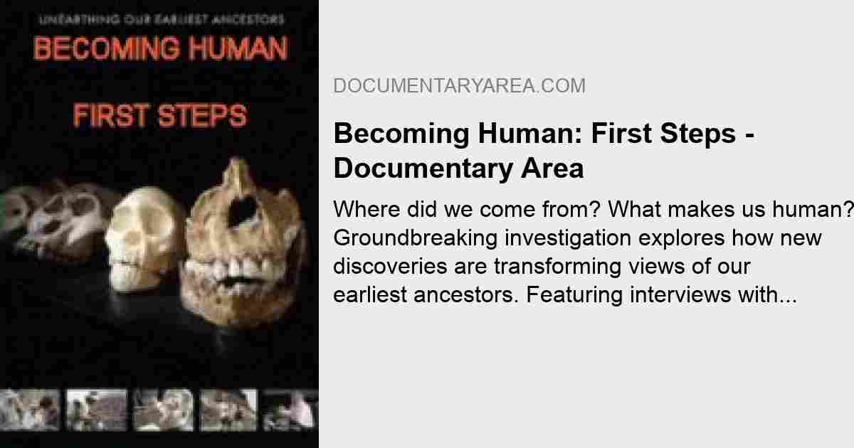 Prehistory - Documentary Area - page 2