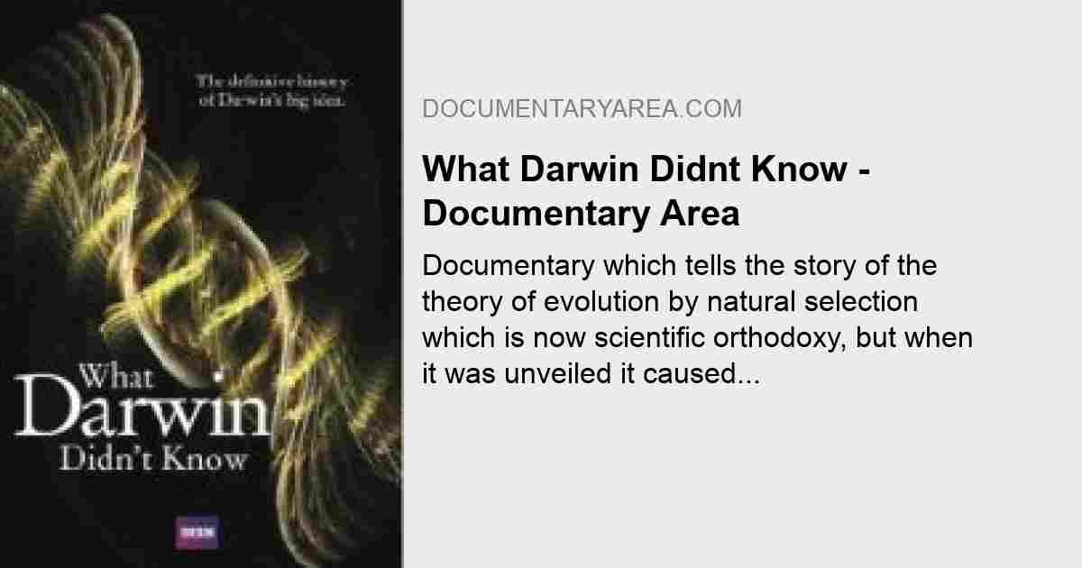 Evolution - Documentary Area