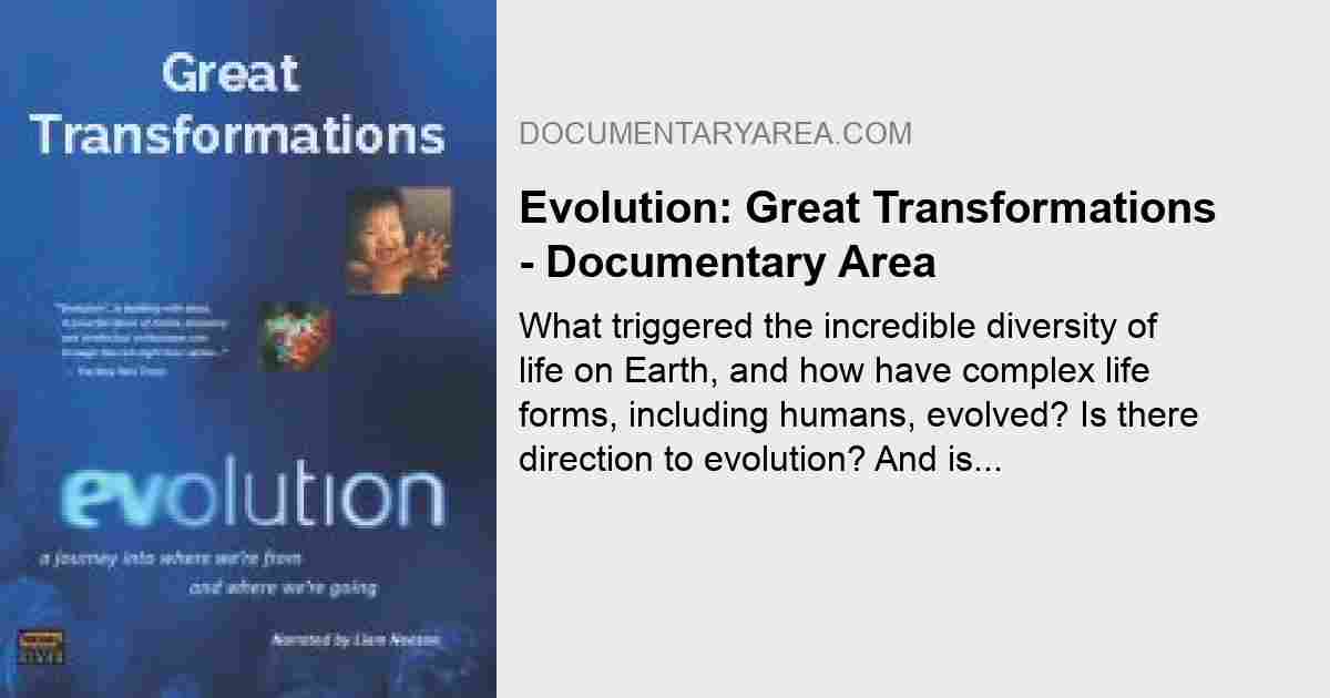 Series Evolution - Documentary Area
