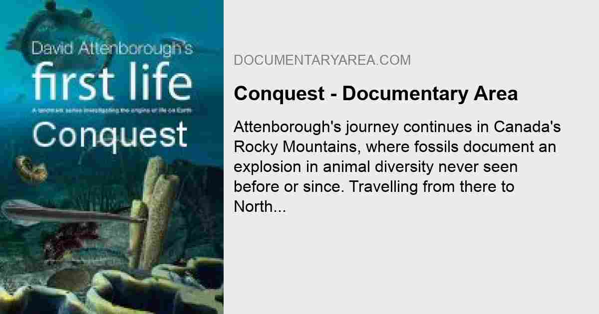 Series First Life - Documentary Area